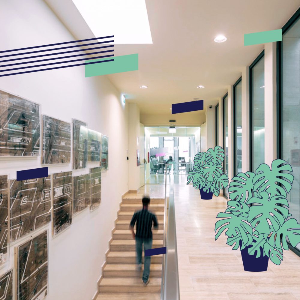 Azienda | Illumia
